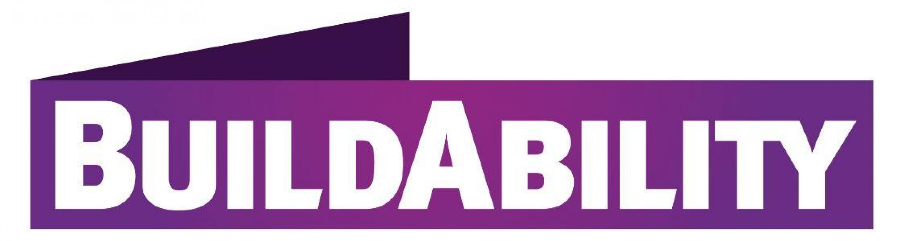 BuildAbility: education and practice – Projects